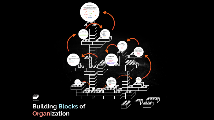 Building Blocks of Organization by Emi Ziemba on Prezi