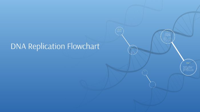 DNA Replication Flowchart by Issy Haslem on Prezi