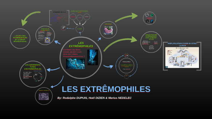 Les extrêmophiles by on Prezi