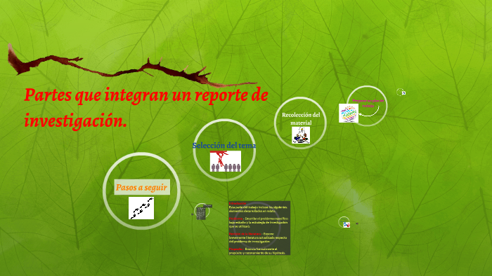 Partes que integran un reporte de investigación. by Normita Quezada on ...