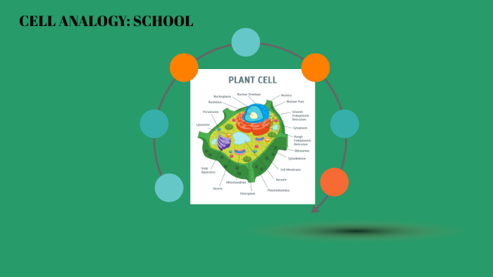 CELL ANALOGY: SCHOOL by Sheena Serdenia on Prezi
