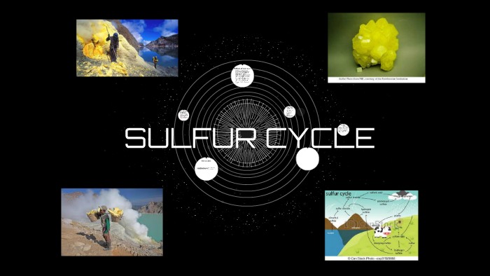 Sulfur Cycle by Alec Powers on Prezi