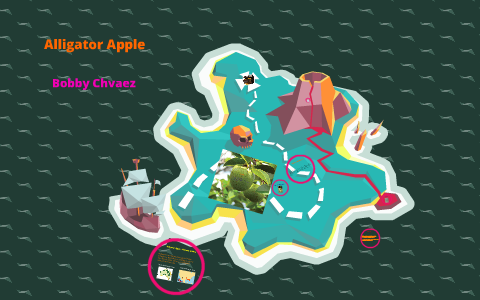 Alligator Apple by Robert Chavez on Prezi
