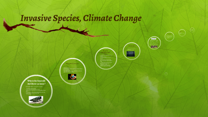 invasive species, climate change by Elizabeth Campbell