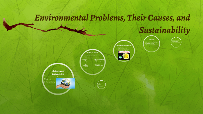 Environmental Problems, Their Causes, and Sustainability by Sarah ...