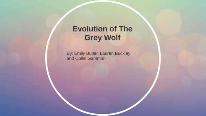 Evolution of The Grey Wolf by Collin Gammon on Prezi