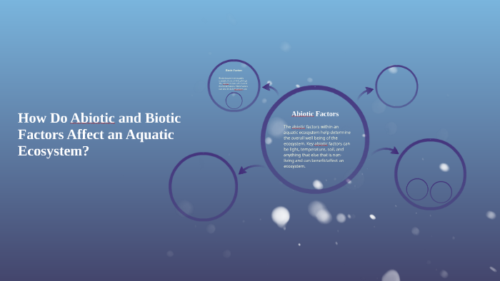 How Do Abiotic and Biotic Factors Affect An Aquatic Ecosystem? by nik ...