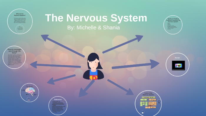 The Nervous System by alice higginbottom