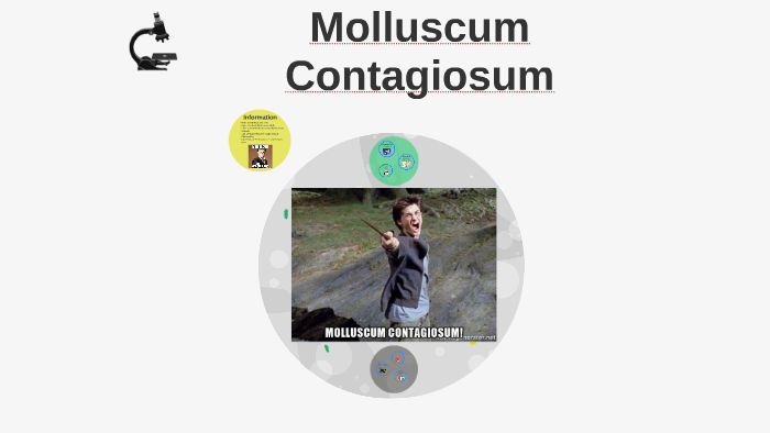 Molluscum Contagiosum by Emma Manzi on Prezi