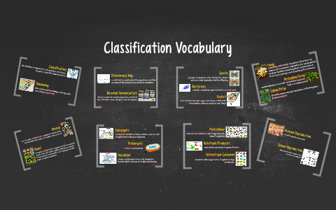 Classification Vocabulary by Meagan Smith