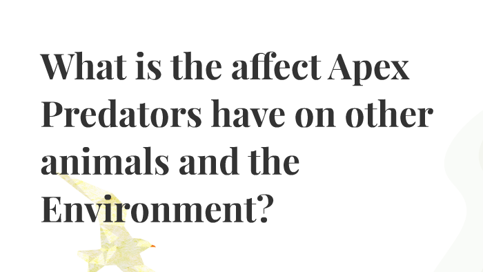 What is the affect Apex Predators have on other animals and by ...