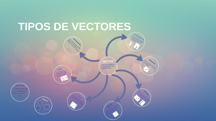Tipos de Vectores by Dragon Tours Zacatlan on Prezi