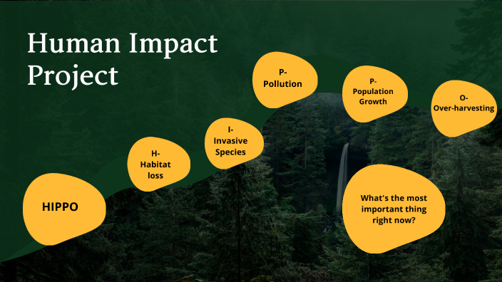 Human Impact Project by Ariel Ruiz on Prezi