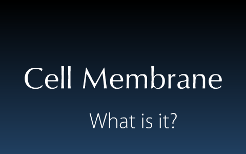 Cell Membrane by Joseph Closson on Prezi