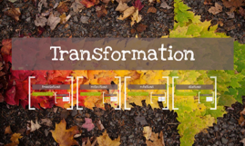 Transformation by Kaci Rogers on Prezi