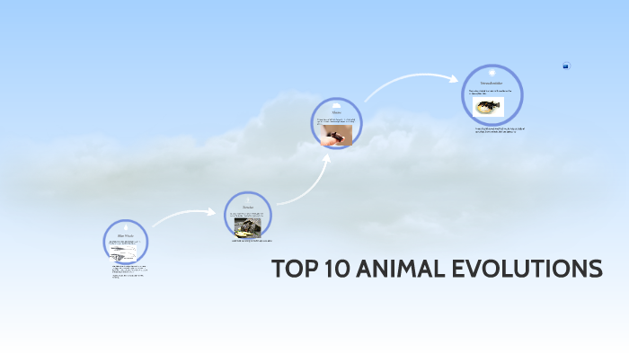 TOP 10 ANIMAL EVOLUTIONS by Jack Stoffel on Prezi