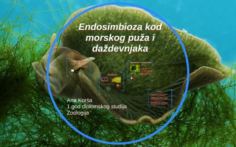Endosimbioza by Ana Korša on Prezi