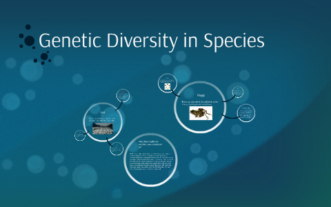 Genetic Diversity in Species by rachel leeper on Prezi