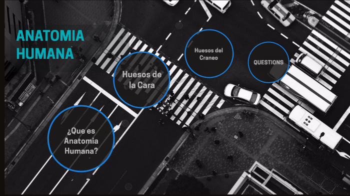 INNOVACION by bryan jarquin solis on Prezi