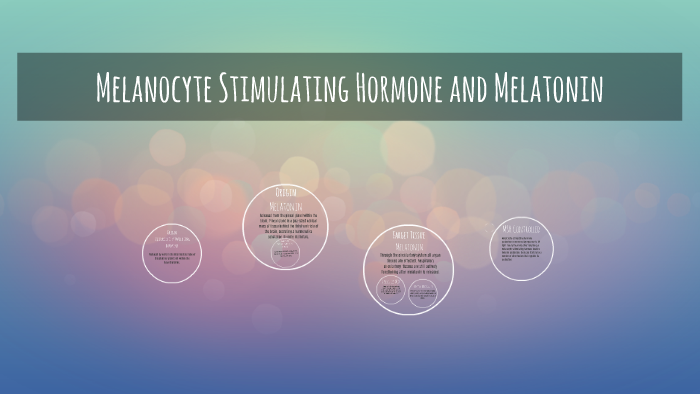 Melanocyte Stimulating Hormone and Melatonin by Catherine Thomas on Prezi