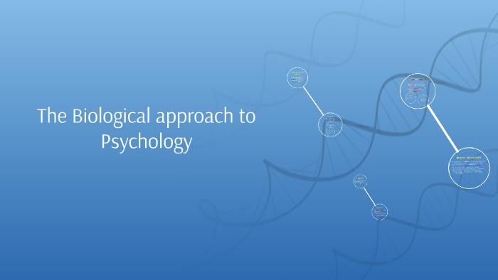 The Biological approach to Psychology by Cameron Rayment on Prezi