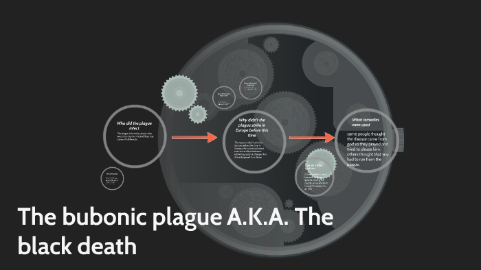 The bubonic plague A.K.A. The black death by Kylen Lively on Prezi