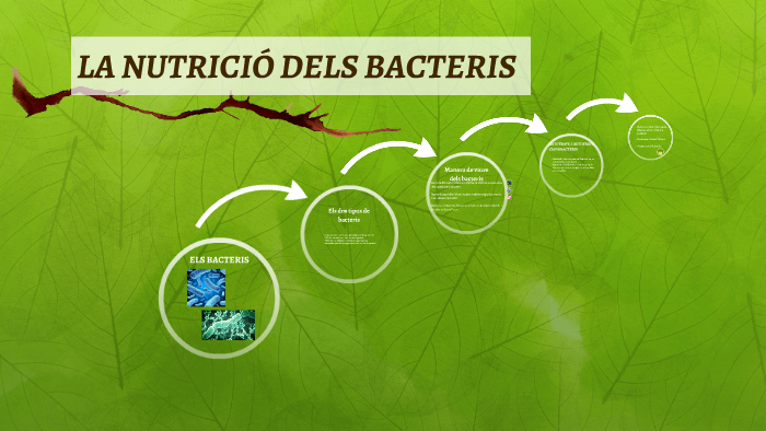 LA NUTRICIÓ DELS BACTERIS by Alba Sanchez on Prezi