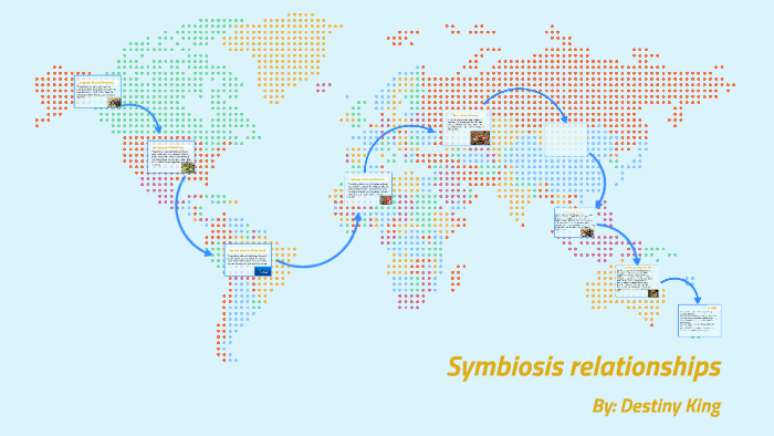 Symbiosis relationships by on Prezi
