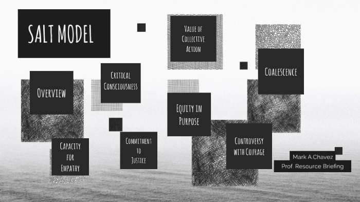 THE Social Action, Leadership, & Transformation (SALT) Model by Mark ...