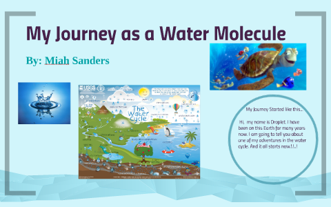 My Journey in the Water Cycle by Miah Sanders on Prezi