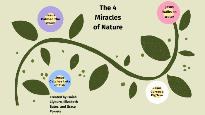 Jesus' power over nature by Elizabeth Bates on Prezi