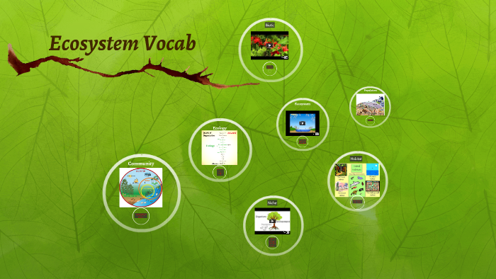 Ecosystem Vocab by Renee Johnston on Prezi