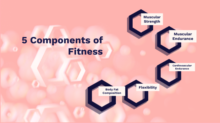 5 components of fitness by Arina Velieva on Prezi
