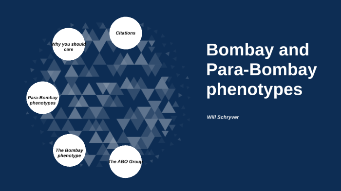 Bombay and Para-Bombay Phenotypes by Will Schryver on Prezi