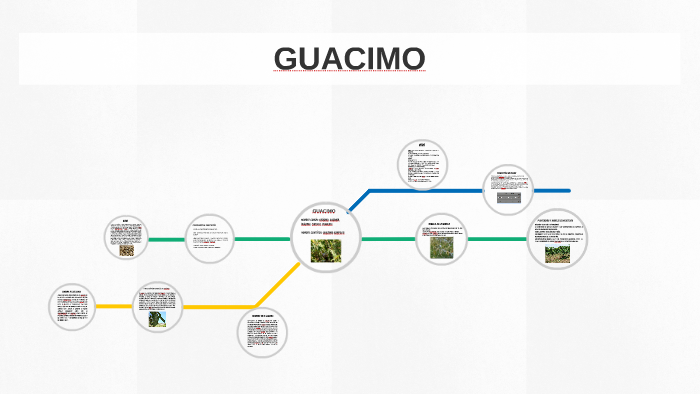 GUACIMO by Veronicaa Contrera on Prezi