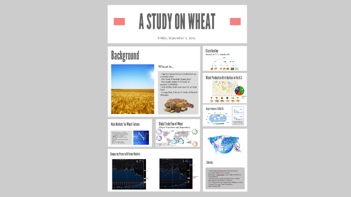 Wheat by on Prezi