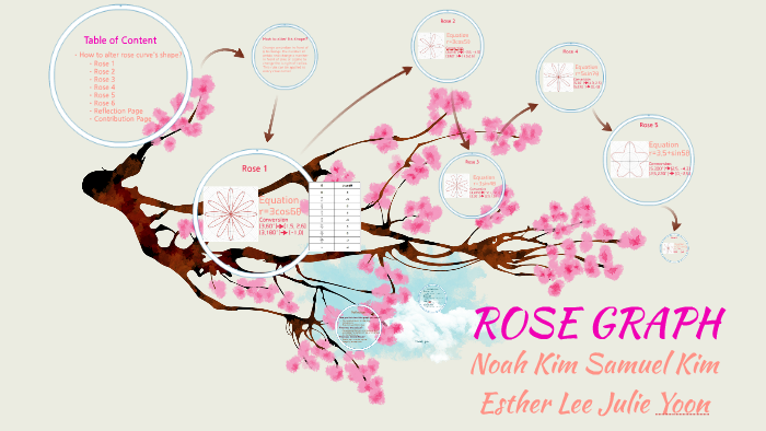 ROSE GRAPH by 수민 이 on Prezi