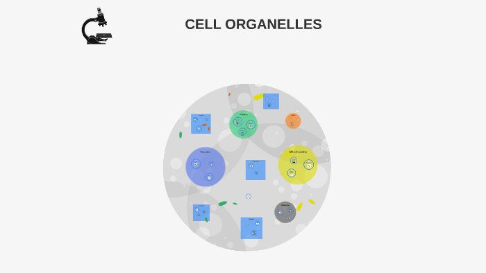 Cell Organelle Project by Kristin Balewicz on Prezi