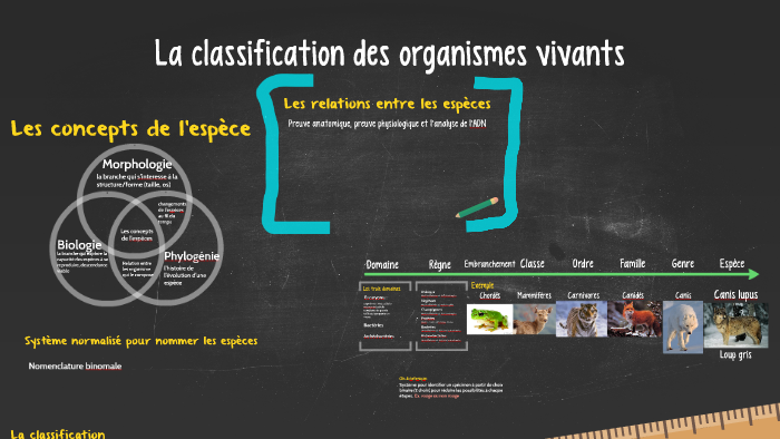 La classification des organismes vivants by Erica F on Prezi