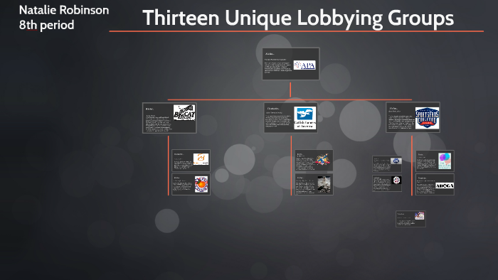 Thirteen Unique Lobbying Groups by Natalie Robinson on Prezi