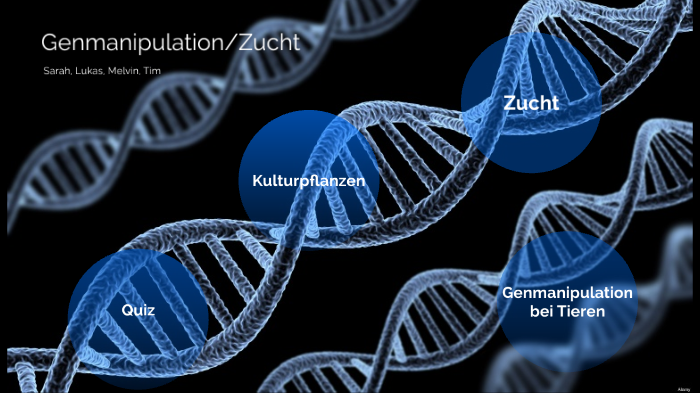 Genmanipulation/Zucht by Tim Beissner on Prezi