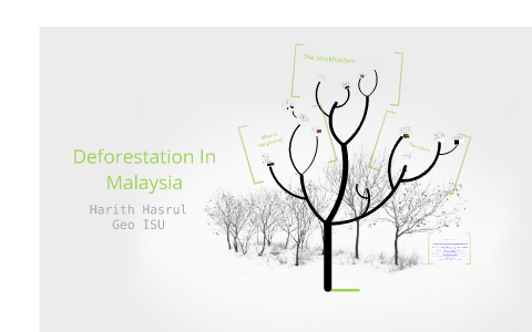 Deforestation in Malaysia by Harith Hasrul on Prezi