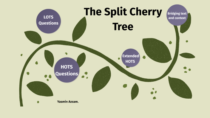 The Split Cherry Tree by on Prezi