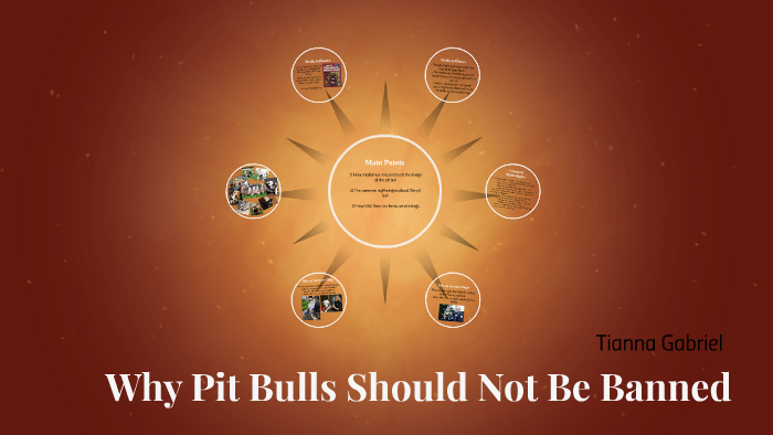 Why Pit Bulls Should Not Be Banned by Tia Gabriel on Prezi