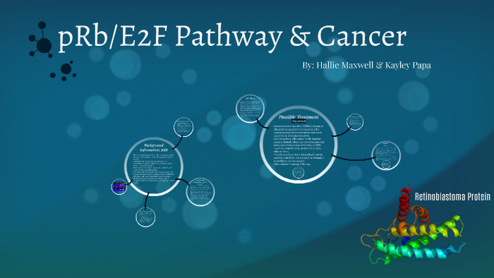 pRb/E2F Pathway & Cancer by Hallie Maxwell on Prezi