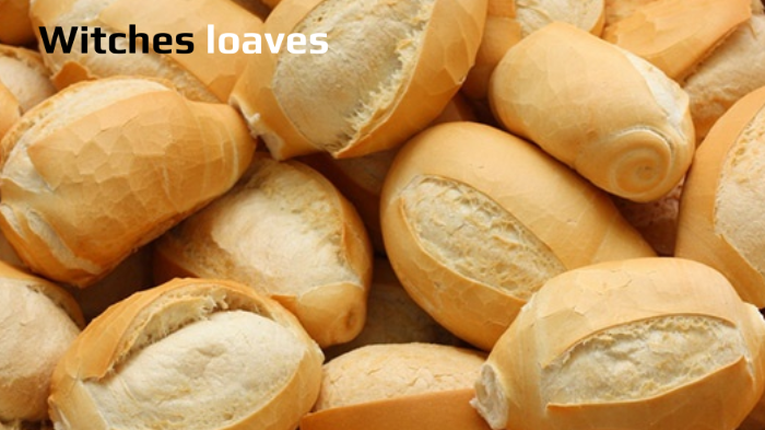 witche´s loaves by gu bruno on Prezi