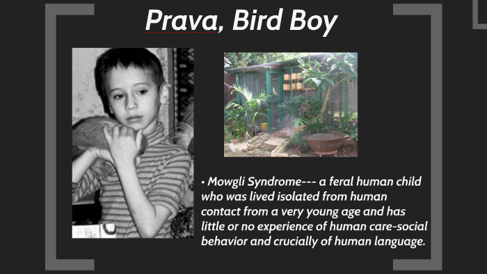 Prava, Bird Boy by celine guo on Prezi