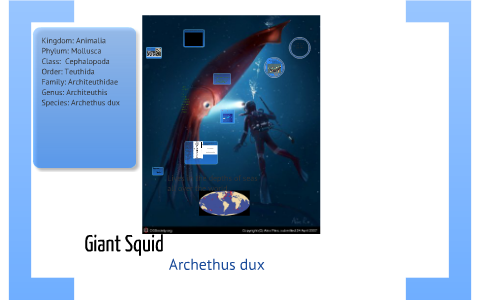 Giant Squid by Paxton Mead on Prezi