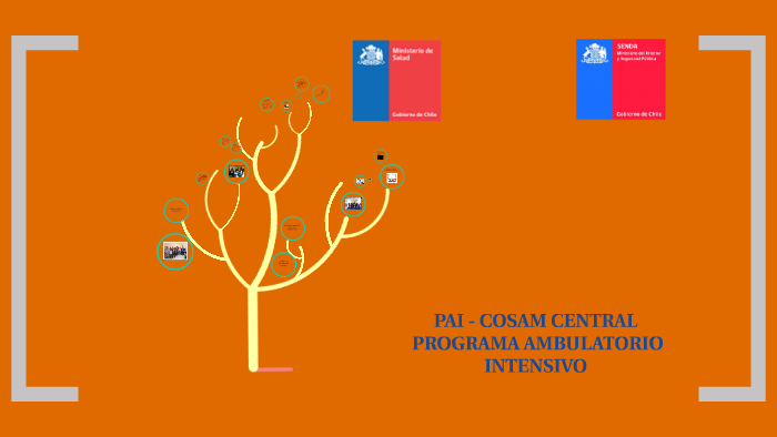 PAI - COSAM CENTRAL by mariana morla on Prezi