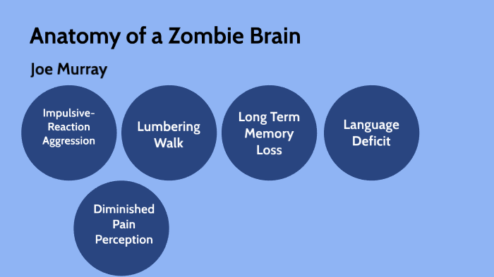 The Anatomy of a Zombie Brain by Samuel Murray on Prezi